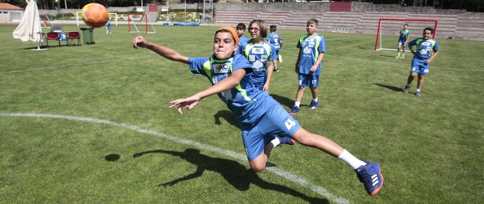 Encontro Nacional de Minis Masculinos e Femininos: processo de ...
